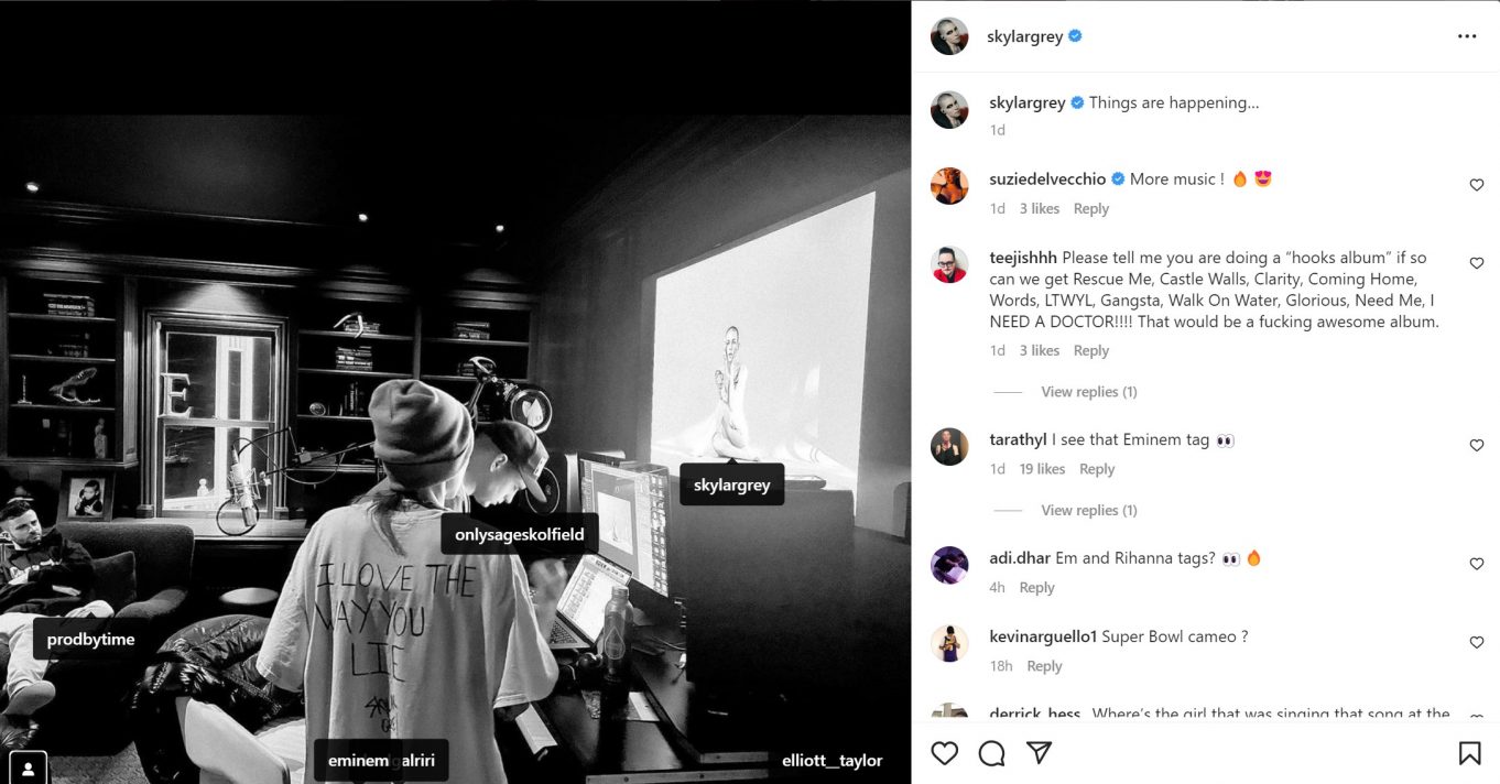 Fans Have Mixed Feelings About Skylar Grey Tagging Eminem on Photo From ...
