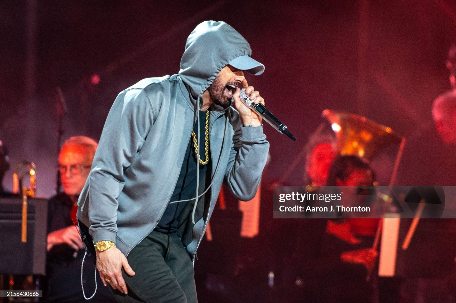 Shady’s Back in the Motor City: Photos from Eminem’s Performance at ...